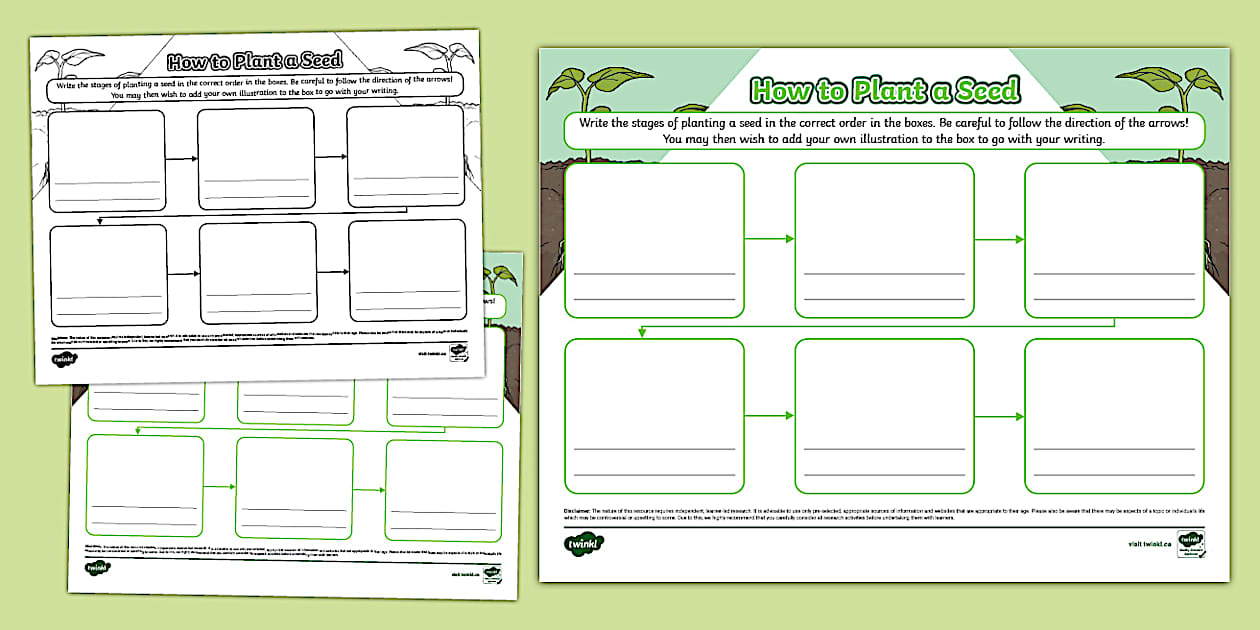 How to Plant a Seed Sequencing Mind Map (teacher made)