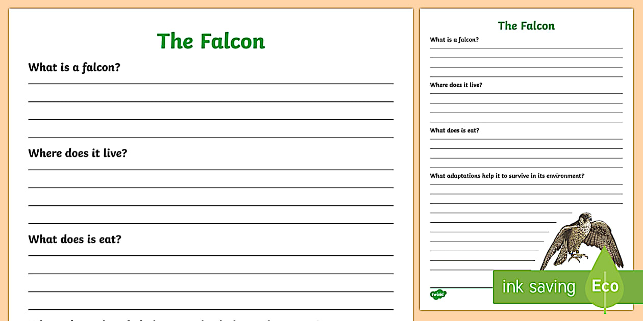 Falcon Information Text Writing Template - Twinkl
