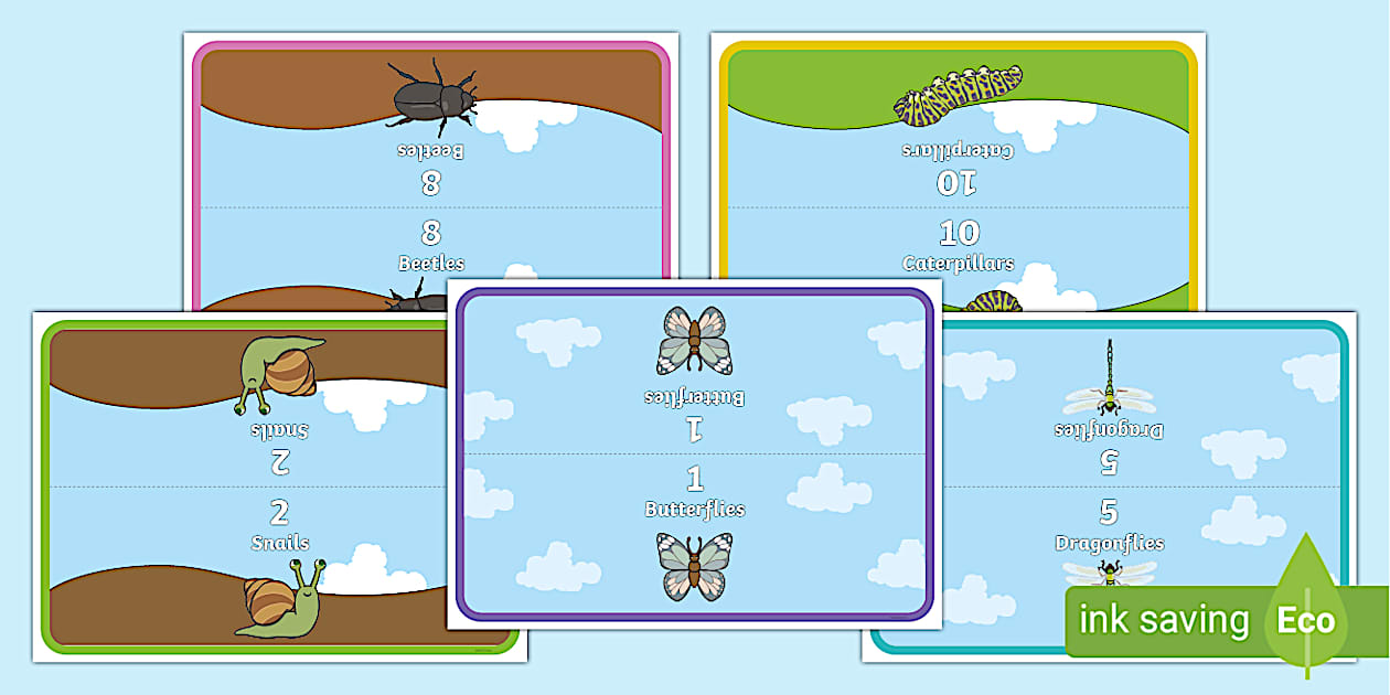 Minibeasts Table Group Numbers (Teacher-Made) - Twinkl