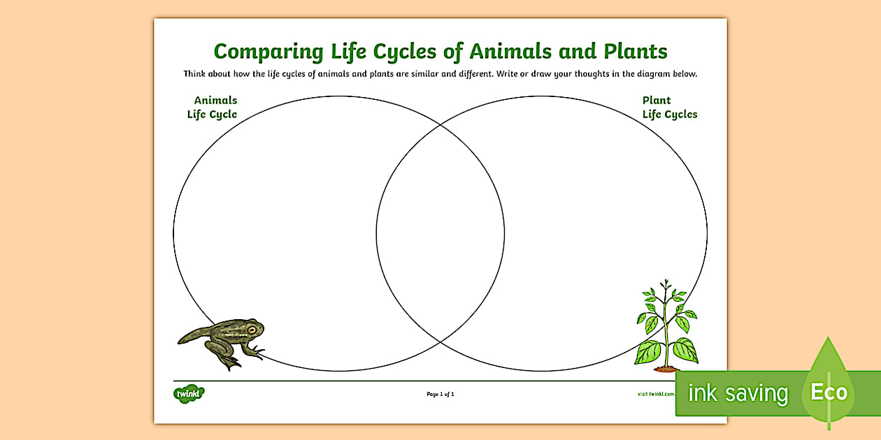 Comparing Plant and Animal Life Cycle Venn Diagram Worksheet
