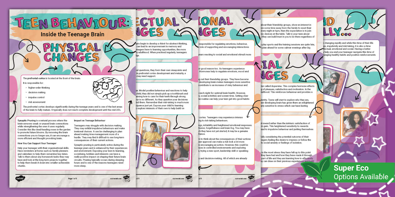 Teen Behaviour: Inside the Teenage Brain (teacher made)