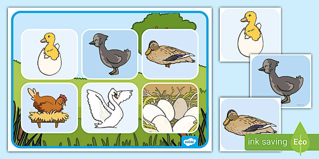 The Ugly Duckling Matching Cards and Board - Twinkl