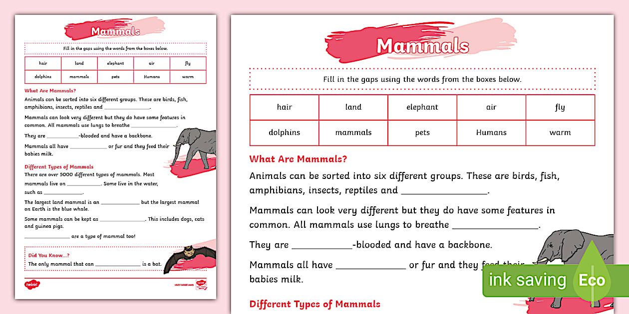 KS1 Mammals Cloze Activity - Twinkl - KS1 - Twinkl
