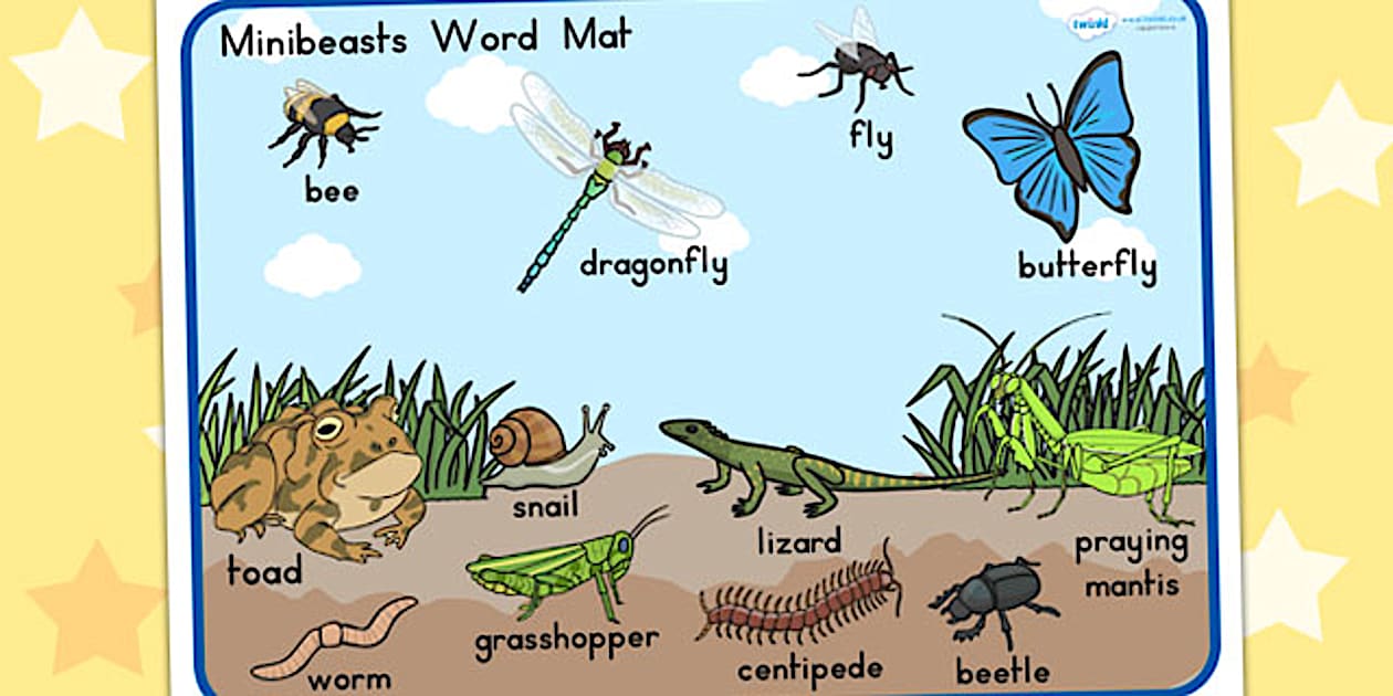 Minibeasts Scene Word Mat - Twinkl
