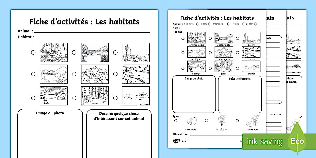Fiches d'activités différenciées : Les habitats