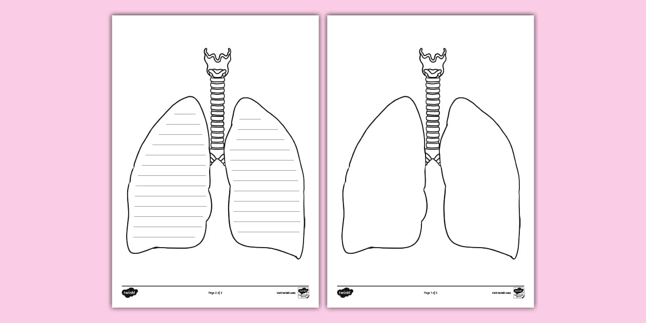 Lungs Writing Template - Twinkl Templates (Teacher-Made)