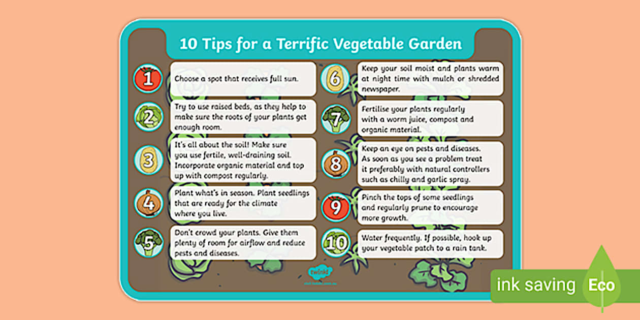 TAS 10 Tips for a Terrific Vegetable Garden Poster - Twinkl