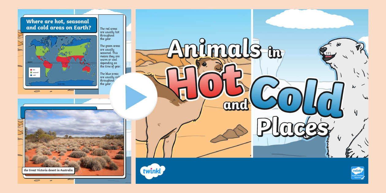 Hot Desert Wildlife | Hot and Cold Places PowerPoint | KS1