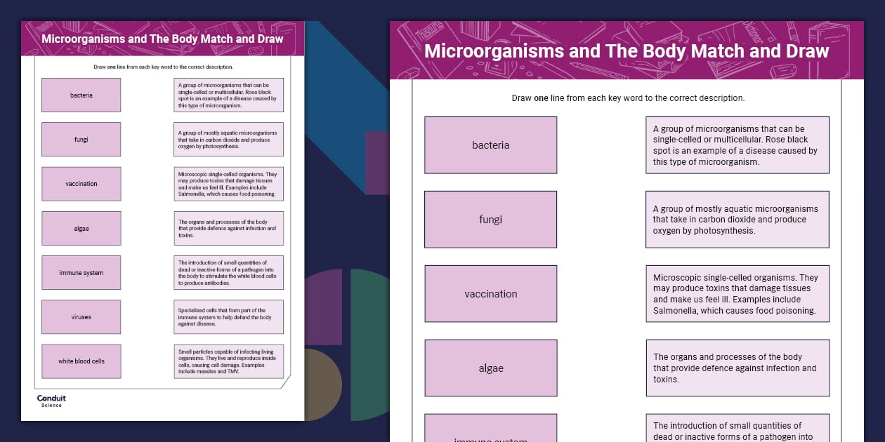 Microorganisms and The Body: Match and Draw (teacher made)