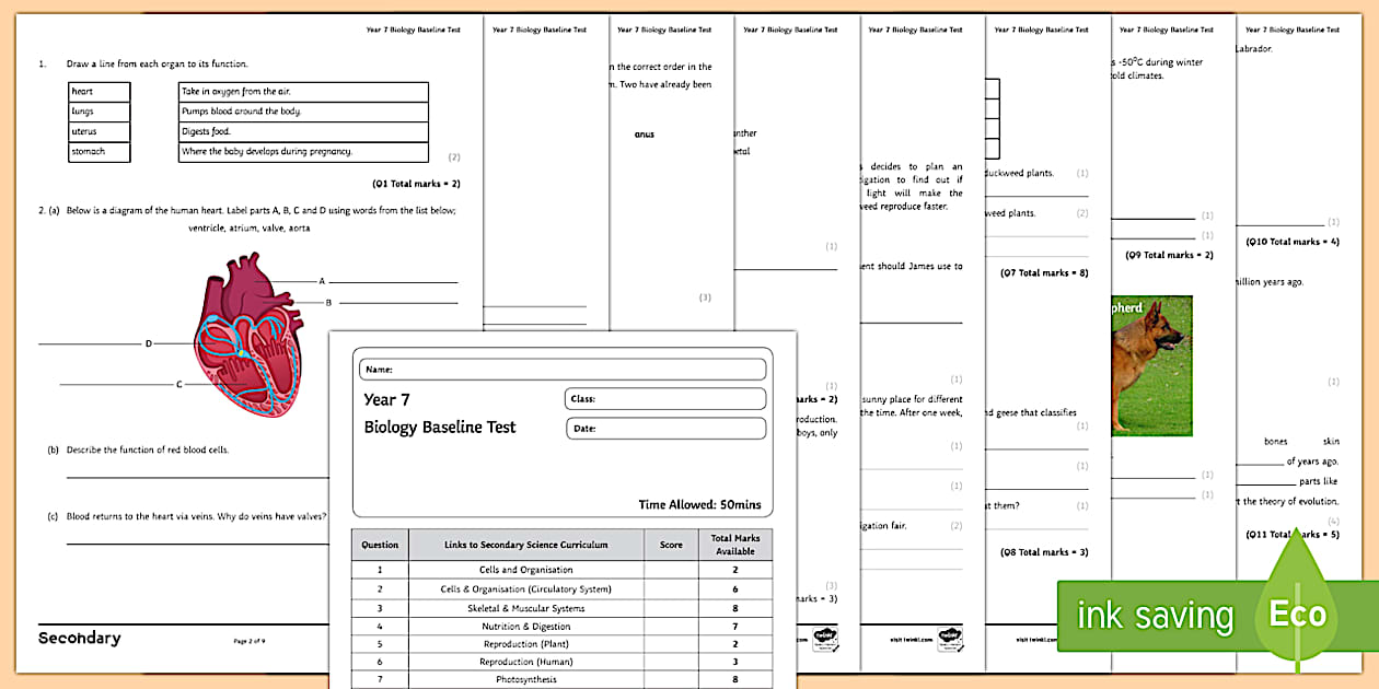 Key Stage 3 Biology Questions | Beyond Secondary - Twinkl