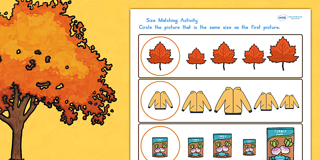 Autumn Size Matching Worksheets (teacher made) - Twinkl