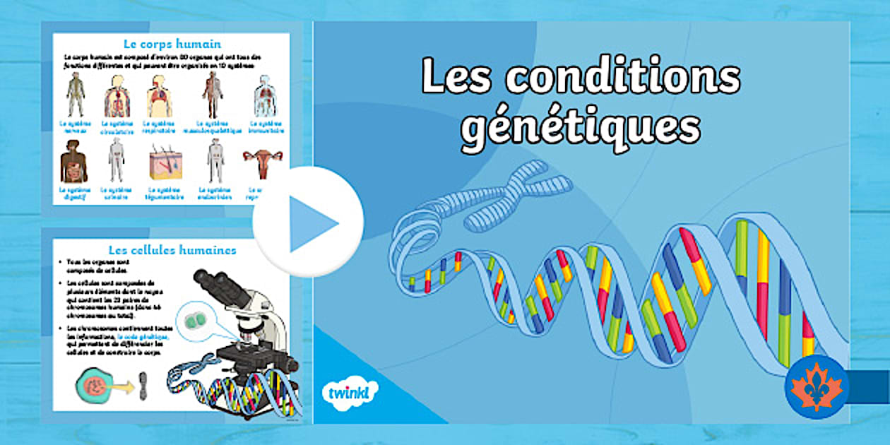 Genetic disorders Presentation French (Hecho por educadores)