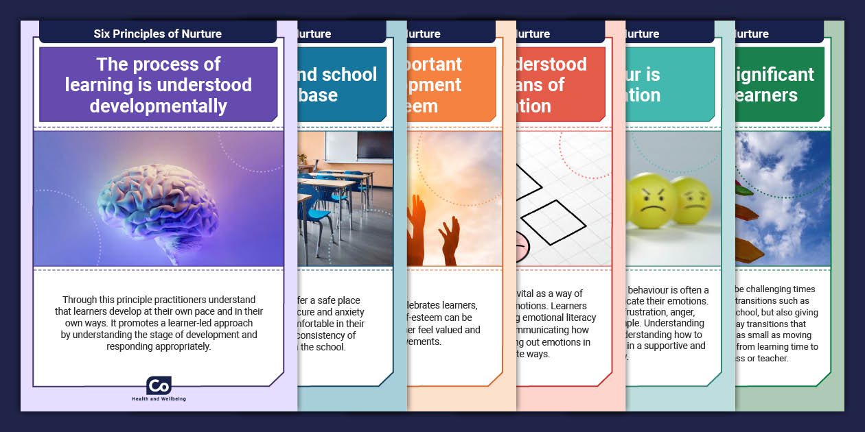 Six Principles of Nurture: Detailed Display Posters - Twinkl