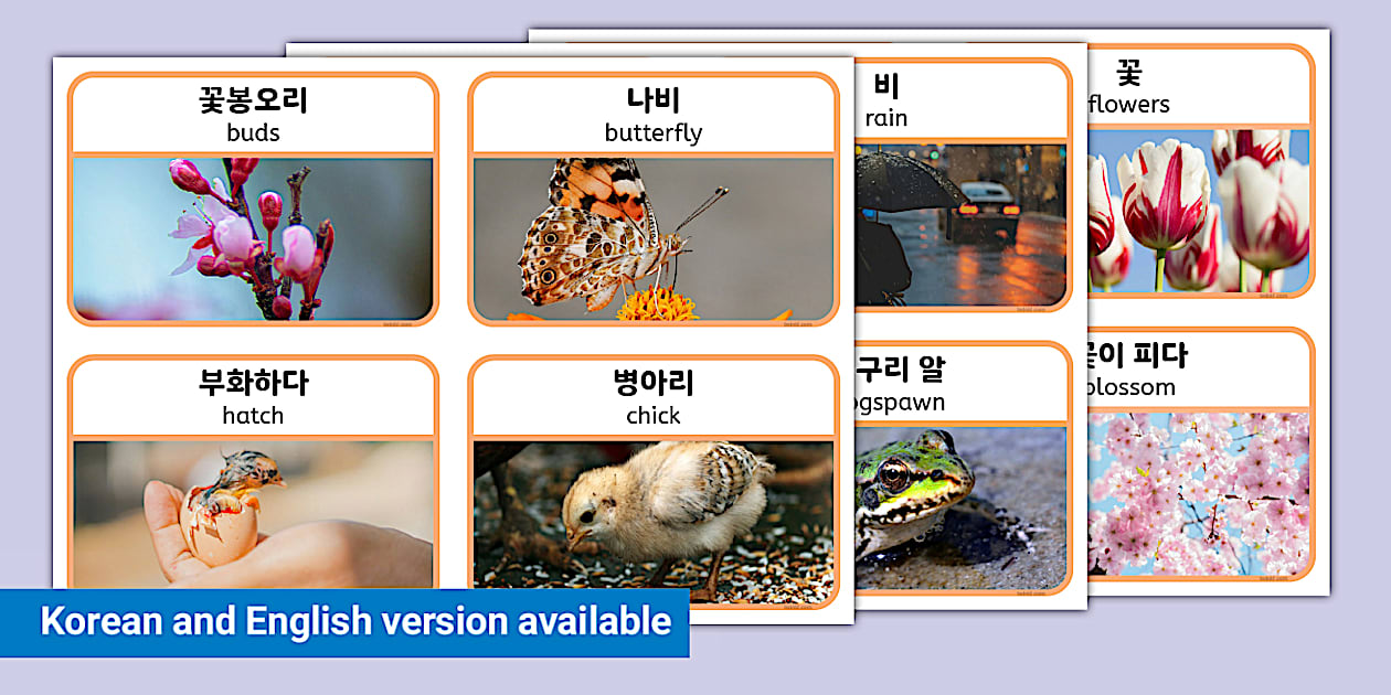 봄 플래시 카드 | Spring Vocabulary Flashcards - Twinkl