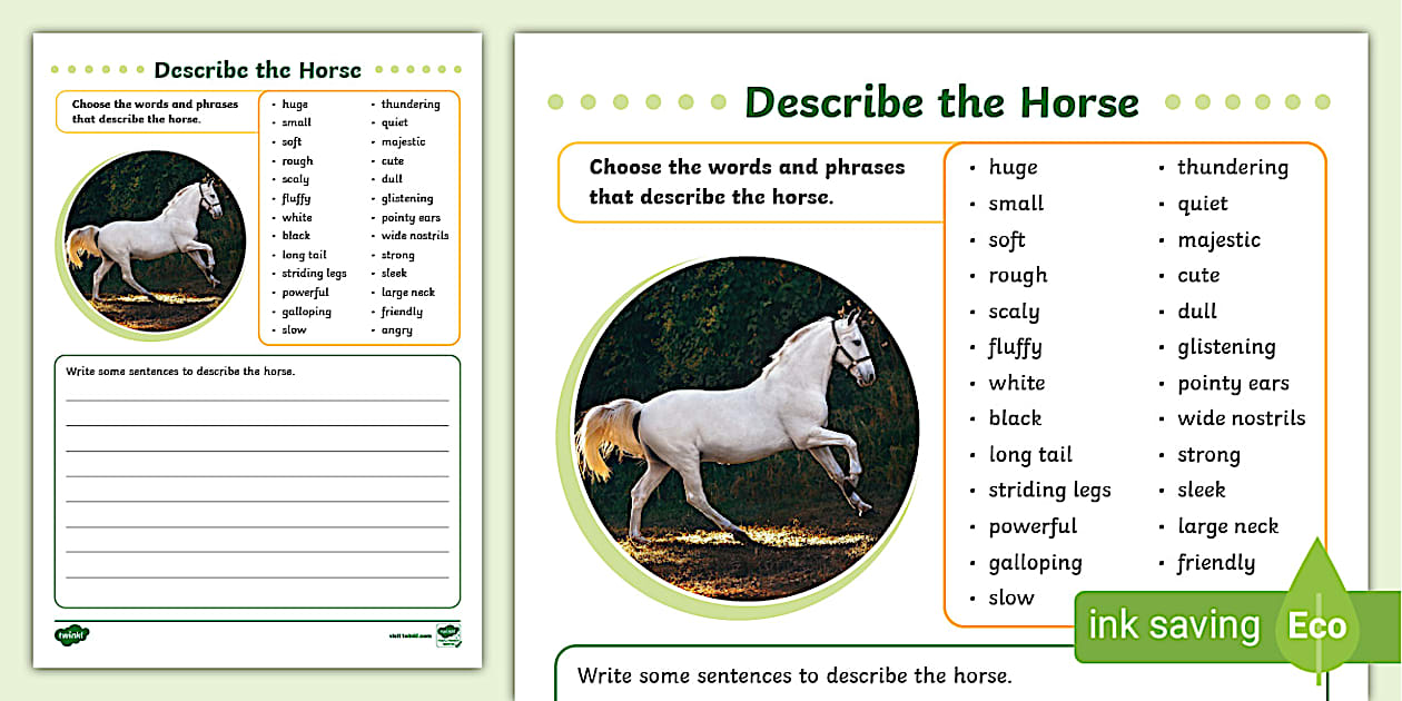 Describe the Horse Writing Activity,horse - Twinkl