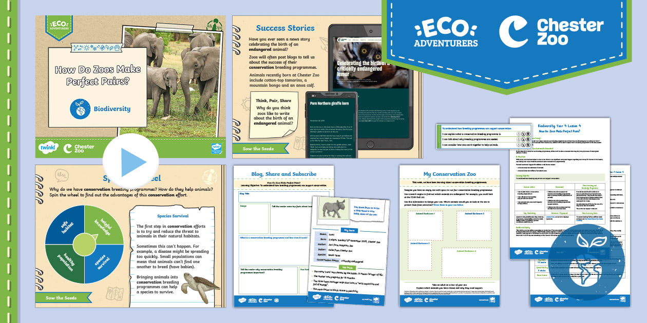 FREE! - Year 4 Biodiversity Lesson 4 How Do Zoos Make Perfect Pairs?