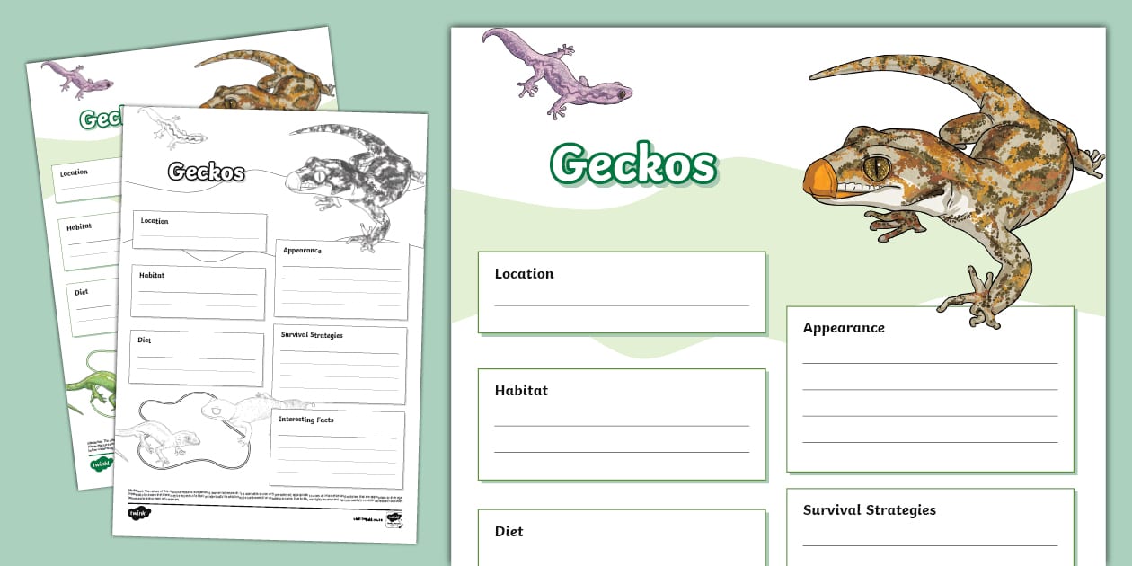 Gecko Fact File Template (teacher made) - Twinkl