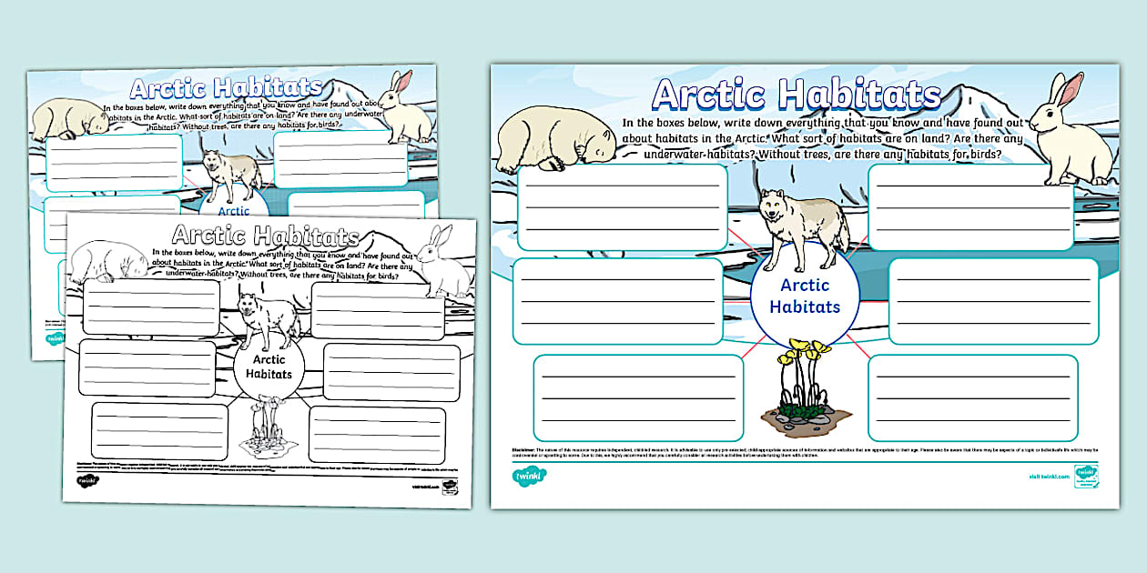 Arctic Habitats Mind Map (teacher made) - Twinkl