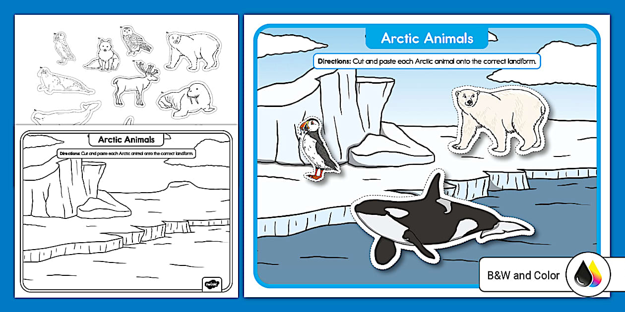 Arctic Animals Sorting Activity Mat (teacher made) - Twinkl