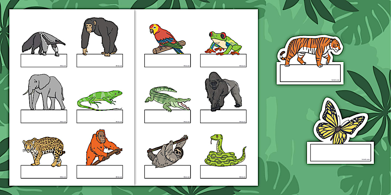 Jungle Animal Themed Self-Registration Labels (teacher made)