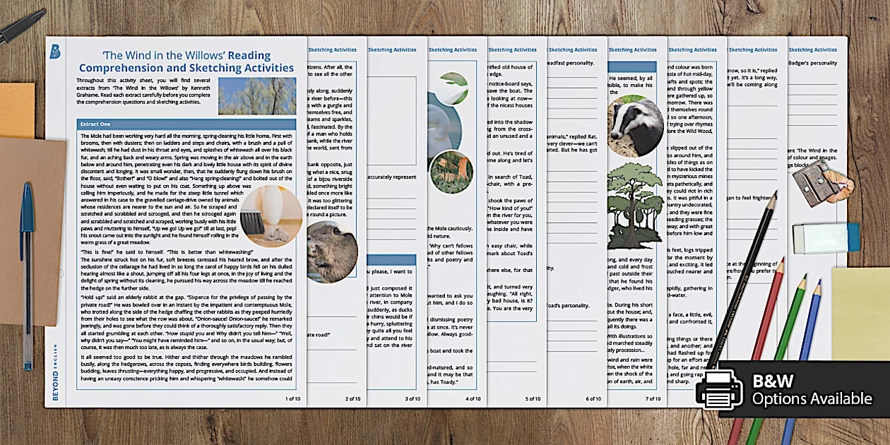 The Wind in the Willows Comprehension (teacher made)