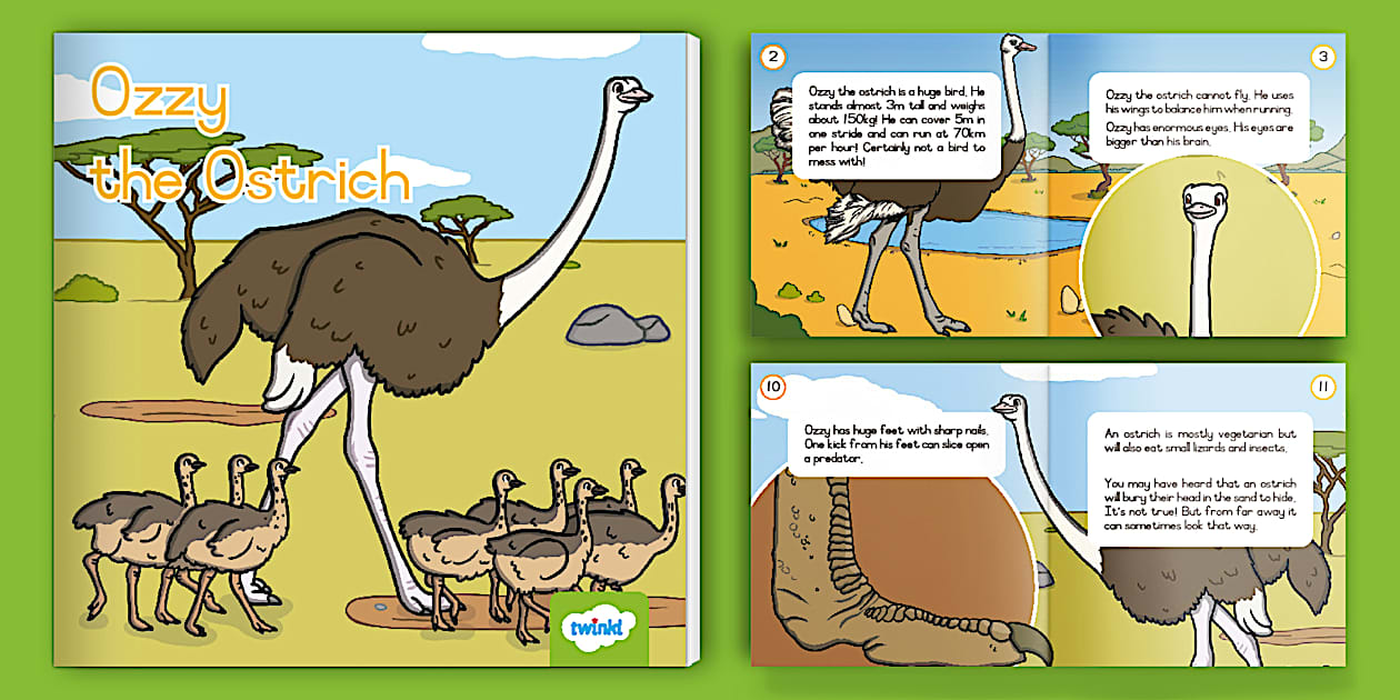 Picture Story - Ozzy the Ostrich eBook (l'enseignant a fait)