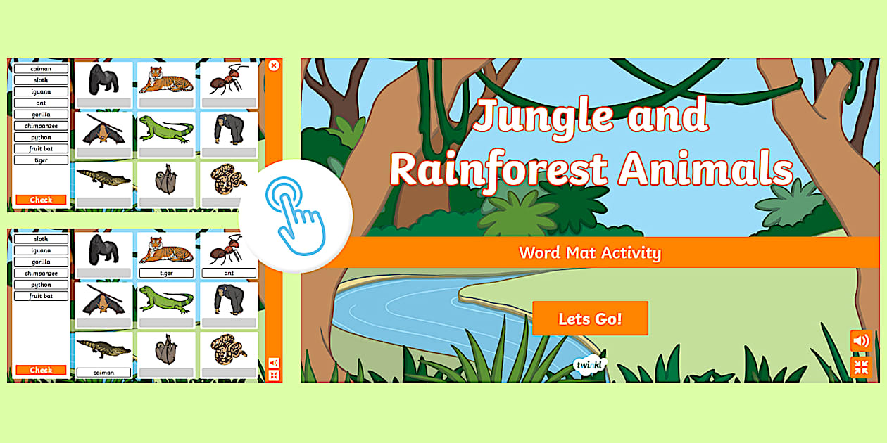 Jungle and Rainforest Animals Word Mat | Twinkl Go! - Twinkl