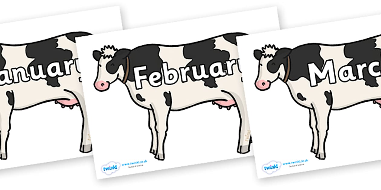 Months of the Year on Cows (professor feito) - Twinkl
