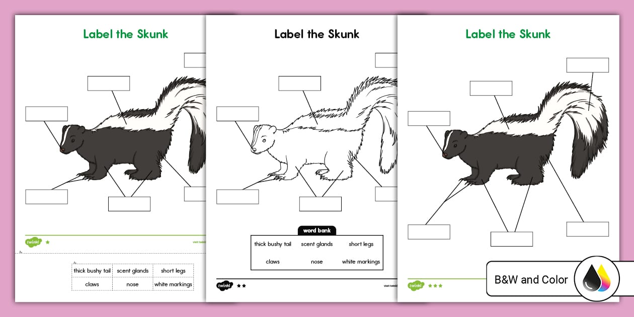 Label the Skunk Differentiated Worksheet for K-2nd Grade