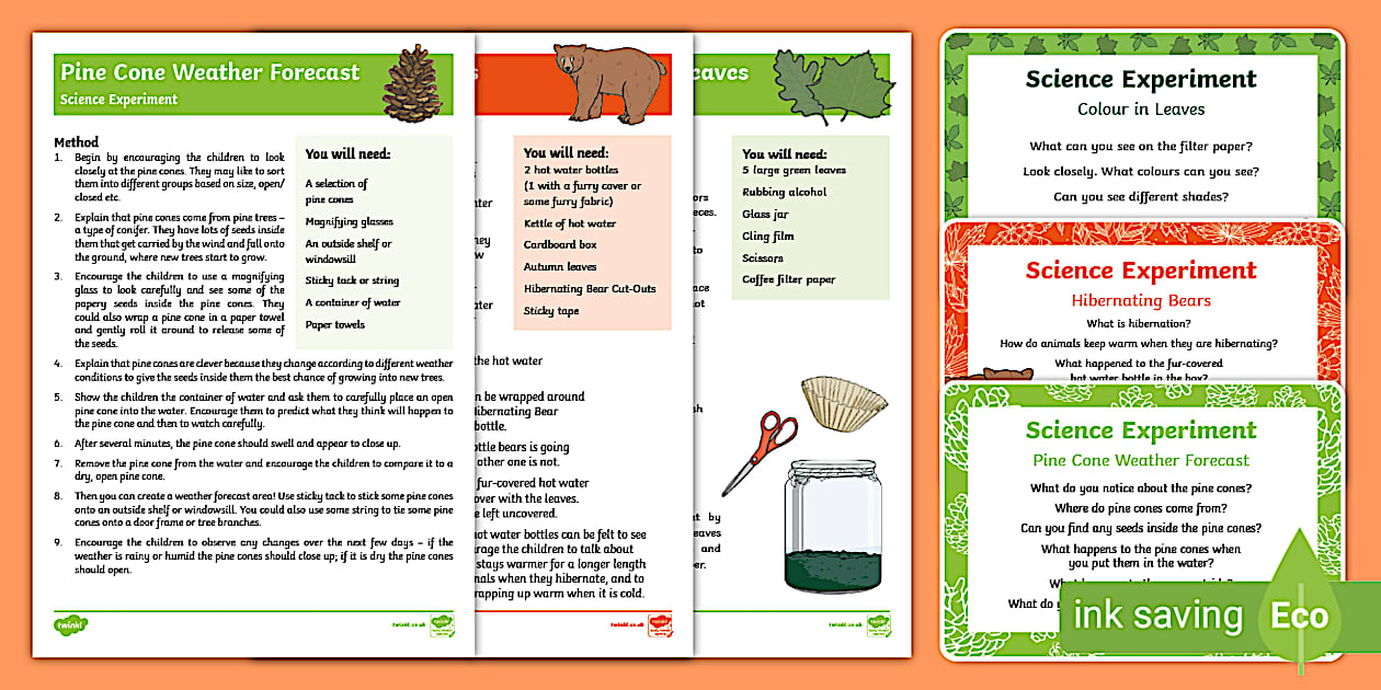 Autumn Investigation Area EYFS - Early Years Science