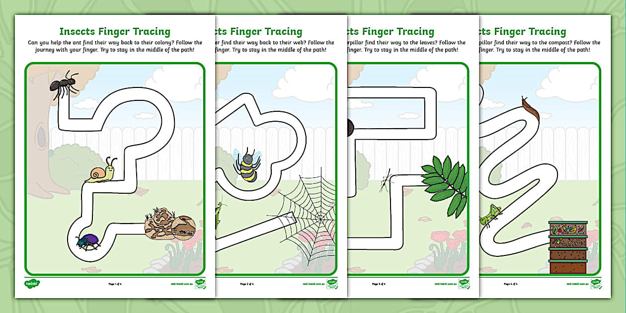 Insect Finger Tracing Activity (teacher made) - Twinkl