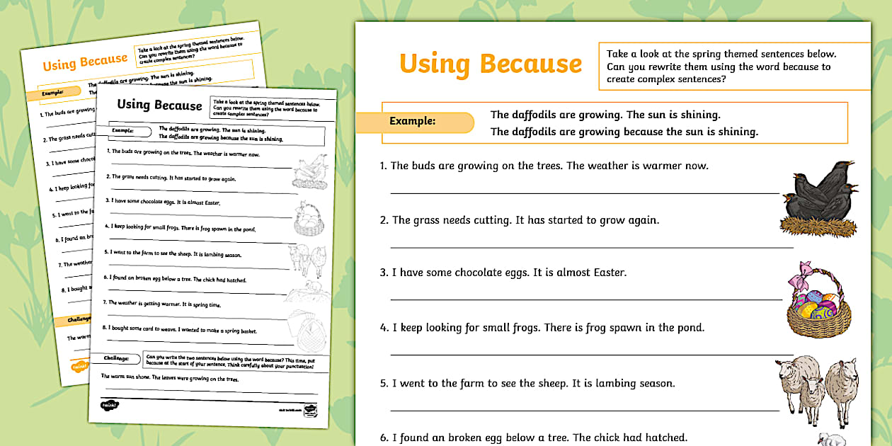 Spring-Themed Using Because Worksheet (teacher made)