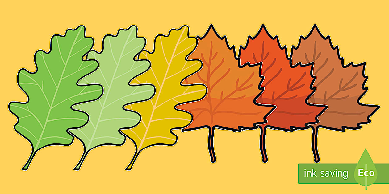 Cut Out Printable Fall Leaves | Twinkl Resources - Twinkl