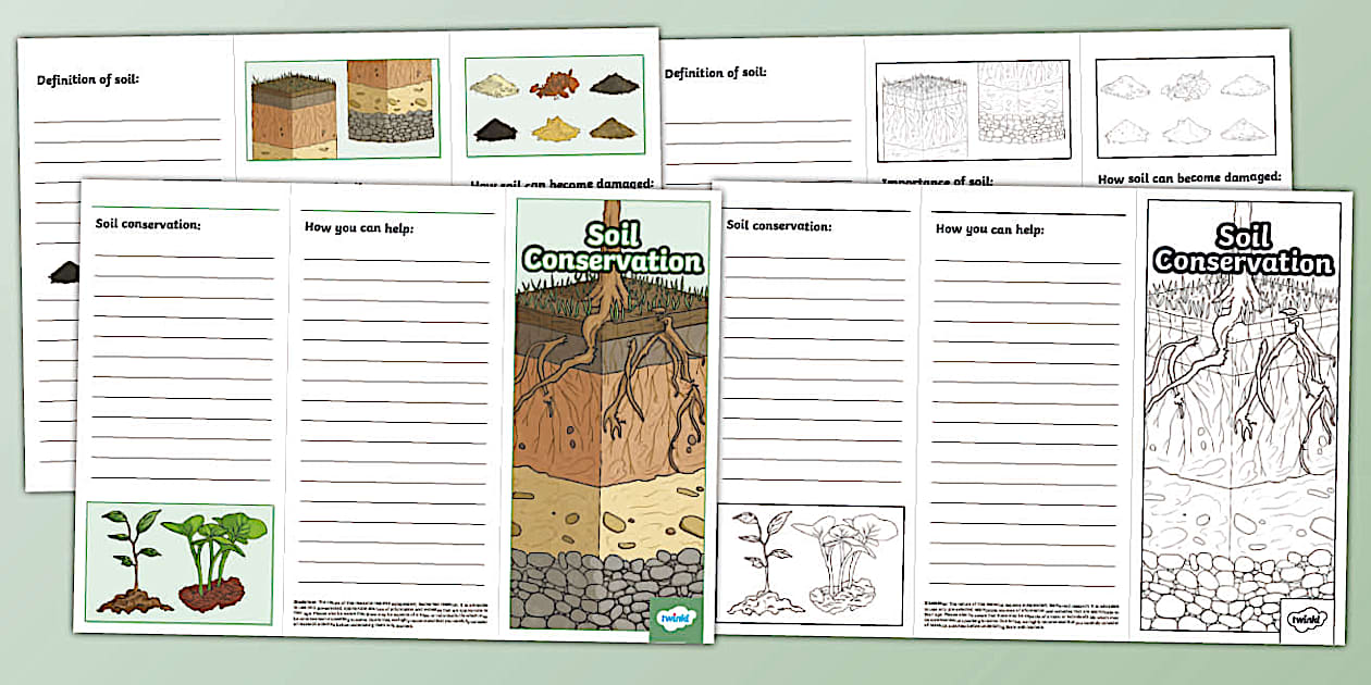 Soil Conservation Leaflet Template (Lehrer gemacht) - Twinkl
