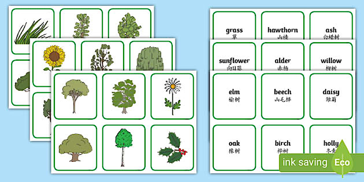 Nature Tree Matching Cards - English/Mandarin Chinese