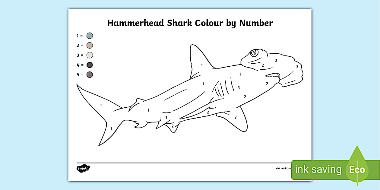 Hammerhead Shark Colour by Number (teacher made) - Twinkl