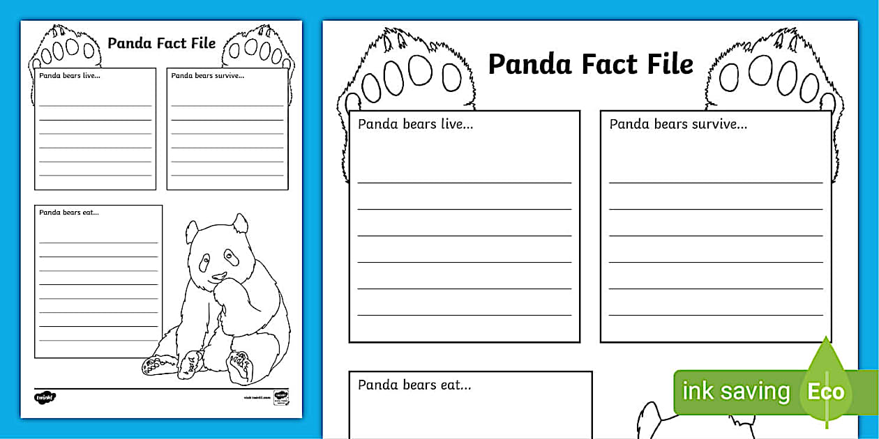 Printable Panda Fact File for Kids - KS1 - Primary Resources