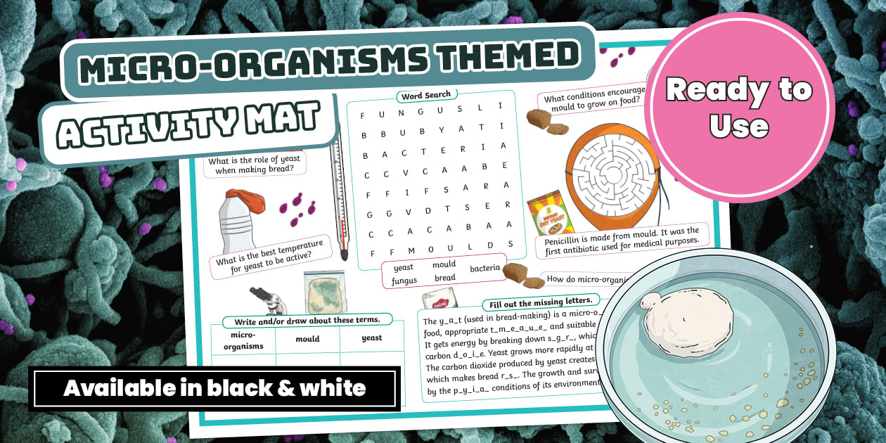 Marvellous Micro-Organisms Activity Mat (teacher made)