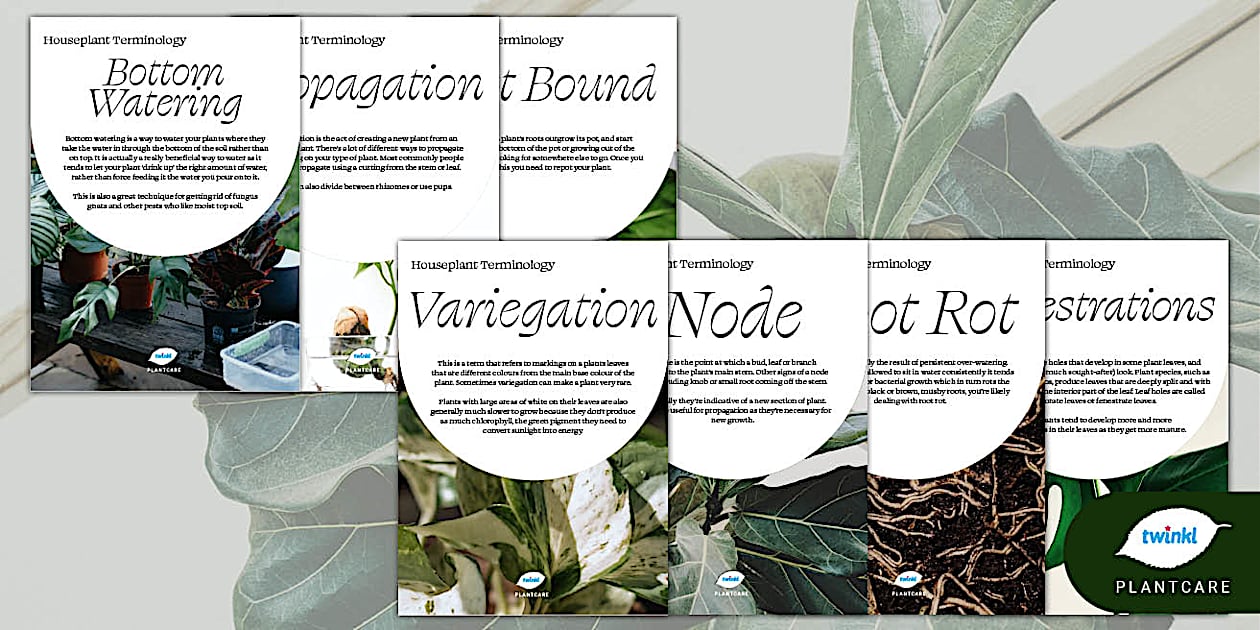Plantcare Terminology Poster Pack