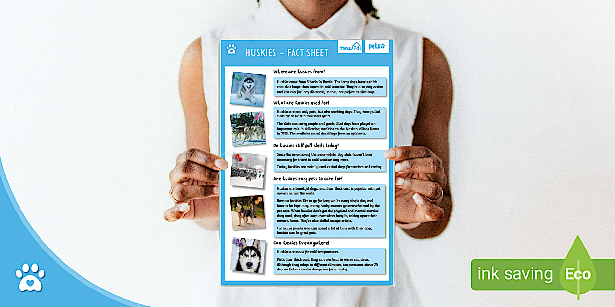 Huskies - Fact Sheet - Husky Facts - Dogs - Twinkl Pets