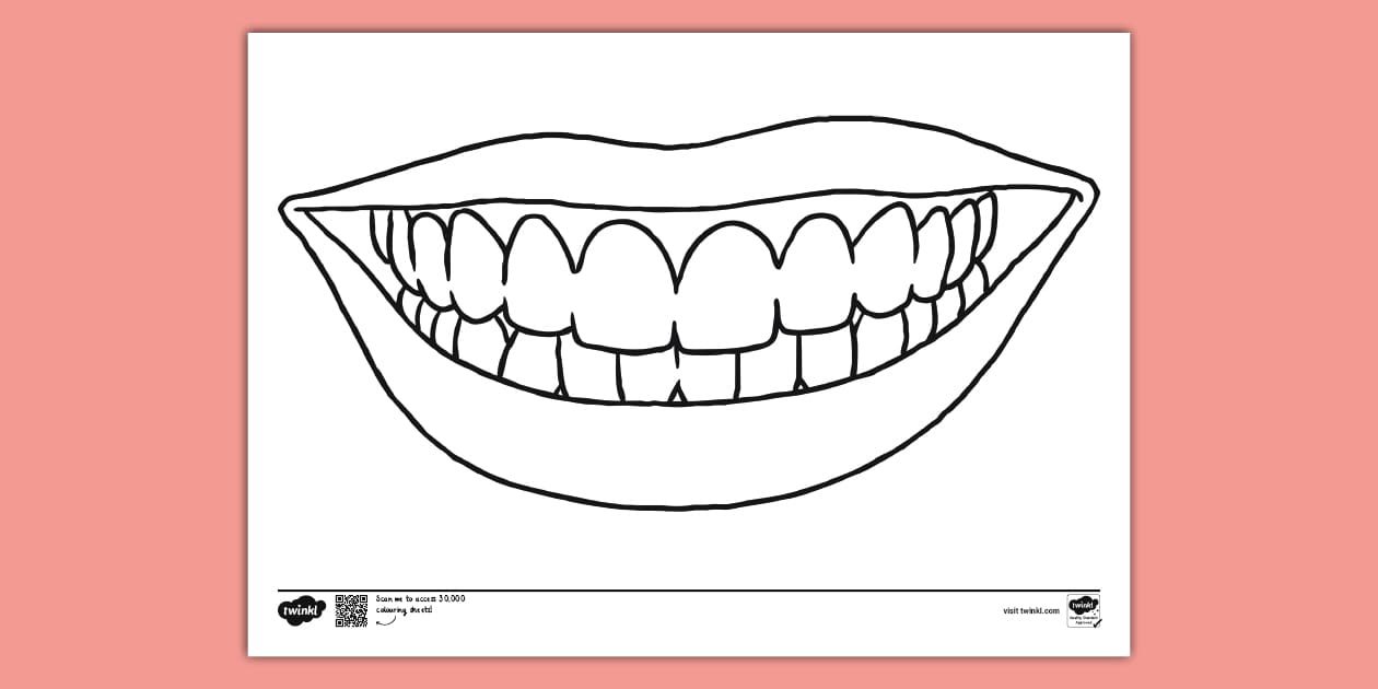 Teeth Colouring Sheet | Colouring Sheets (teacher made)