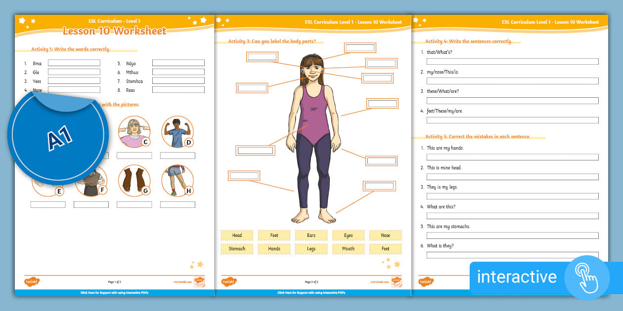 ESL Curriculum Level 1, Lesson 10 PDF Interactive Worksheet