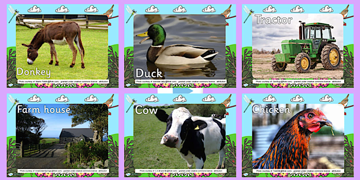 Farm Animals PowerPoint | Farm Animals Display Photos