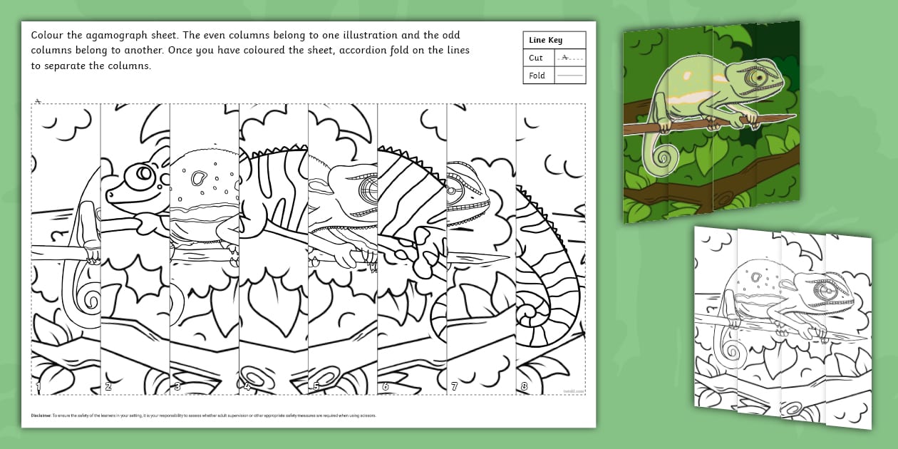 Chameleon Agamograph - Twinkl Arts and Crafts - Twinkl