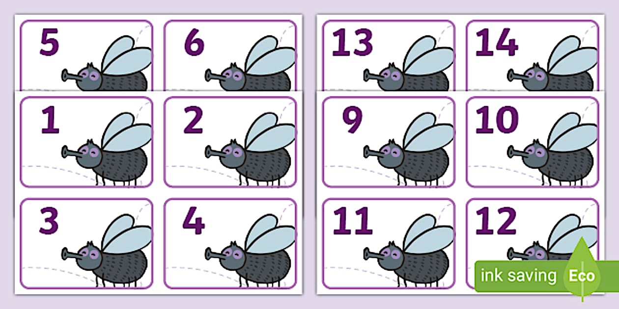 Fly Themed 1 - 20 Number Cards (teacher made) - Twinkl