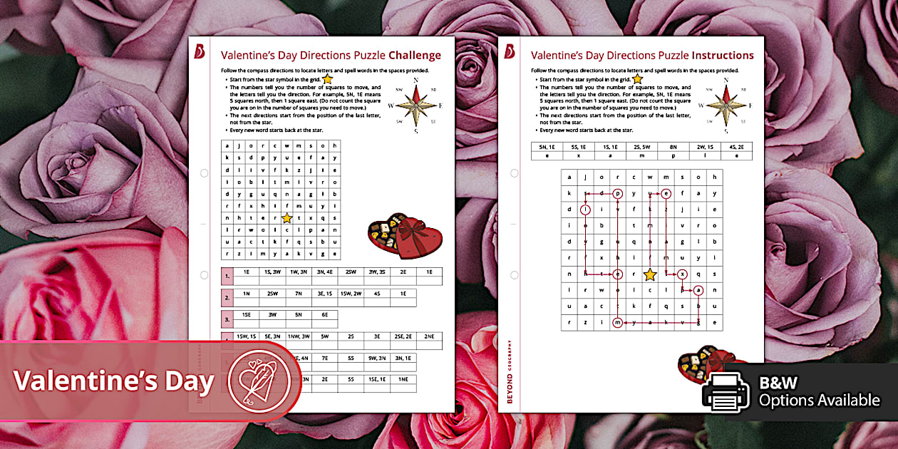 KS3 Valentine's Day: Compass Directions Word Puzzles