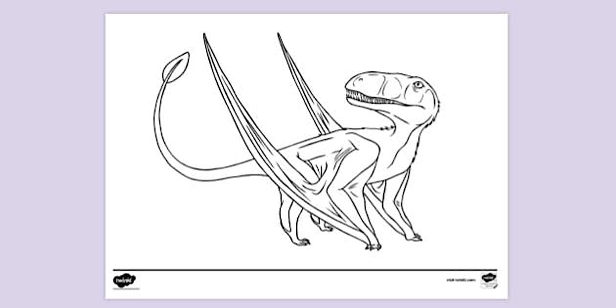 Dimorphodon Colouring Sheet