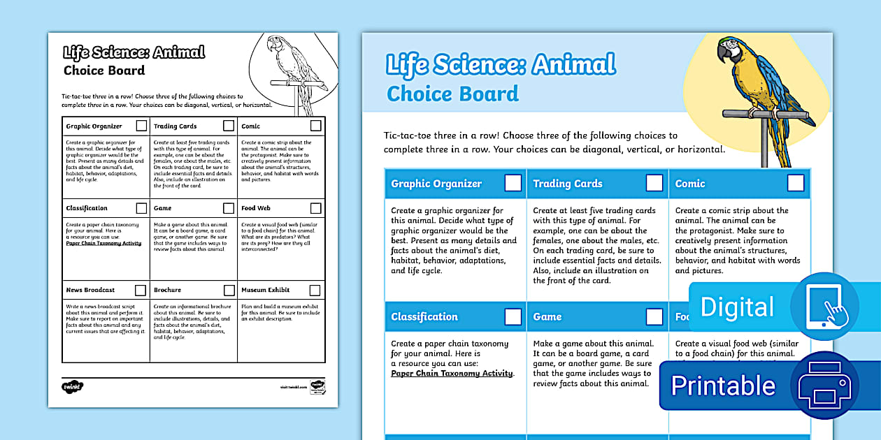 Life Science: Animal Choice Board (Teacher-Made) - Twinkl