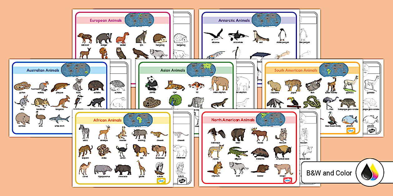 Animals of the Seven Continents Word Mat Pack (Teacher-Made)
