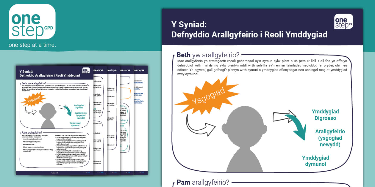 DPD: Defnyddio Arallgyfeirio wrth Reoli Ymddygiad - Twinkl